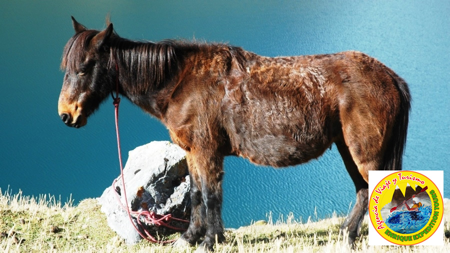 Climbing Huayhuash Nevado Rasac Peru
